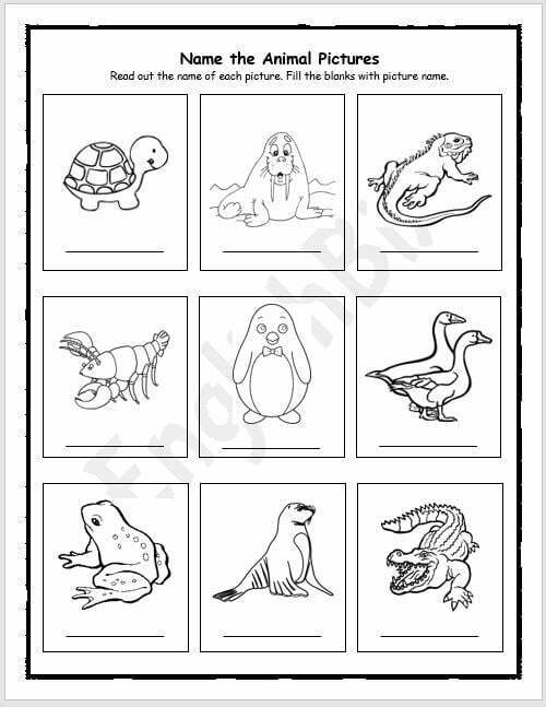 Land And Water Worksheets WorksheetsCity Land And Water Worksheets WorksheetsCity